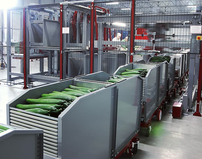 GreenTech | Taks Handling Systems B.V. - Cucumber processing system